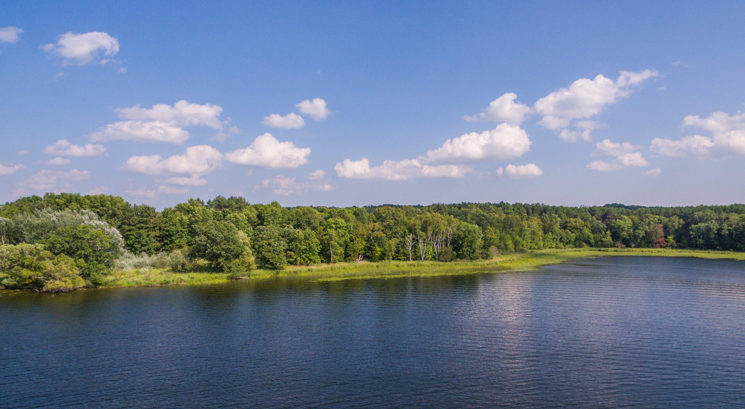 Cedar Lake, Wildlife Management Area Addition - Northern Waters Land Trust